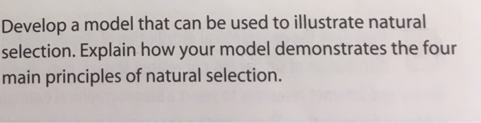 Solved Develop a model that can be used to illustrate | Chegg.com