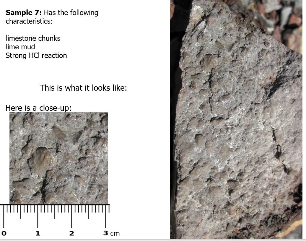 Solved Sample 4: Has the following characteristics: lime mud | Chegg.com