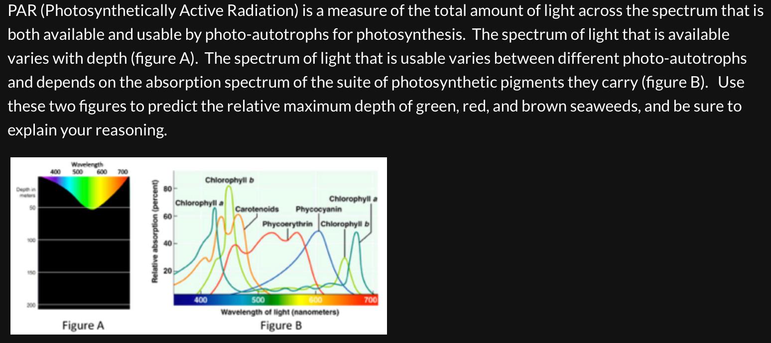 Solved PAR (Photosynthetically Active Radiation) is a | Chegg.com