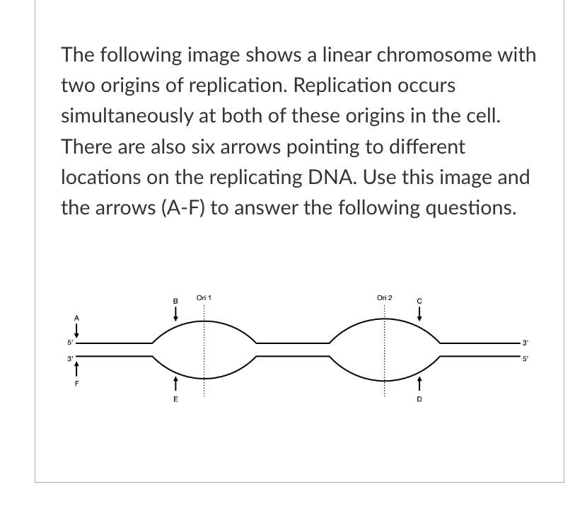Solved The following image shows a linear chromosome with | Chegg.com
