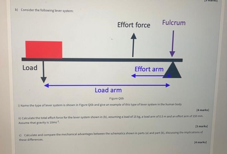 Solved b) Consider the following lever system: Effort force | Chegg.com