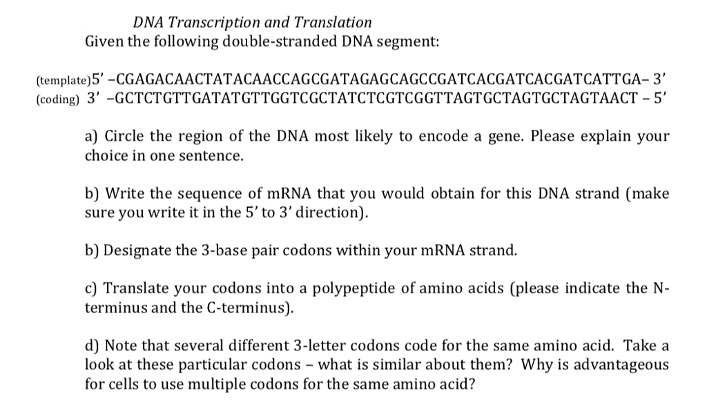 Solved DNA Transcription and Translation Given the following | Chegg.com