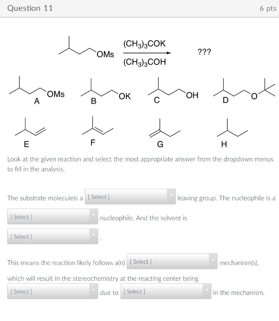The substrate moleculeis a ["methyl", "primary | Chegg.com