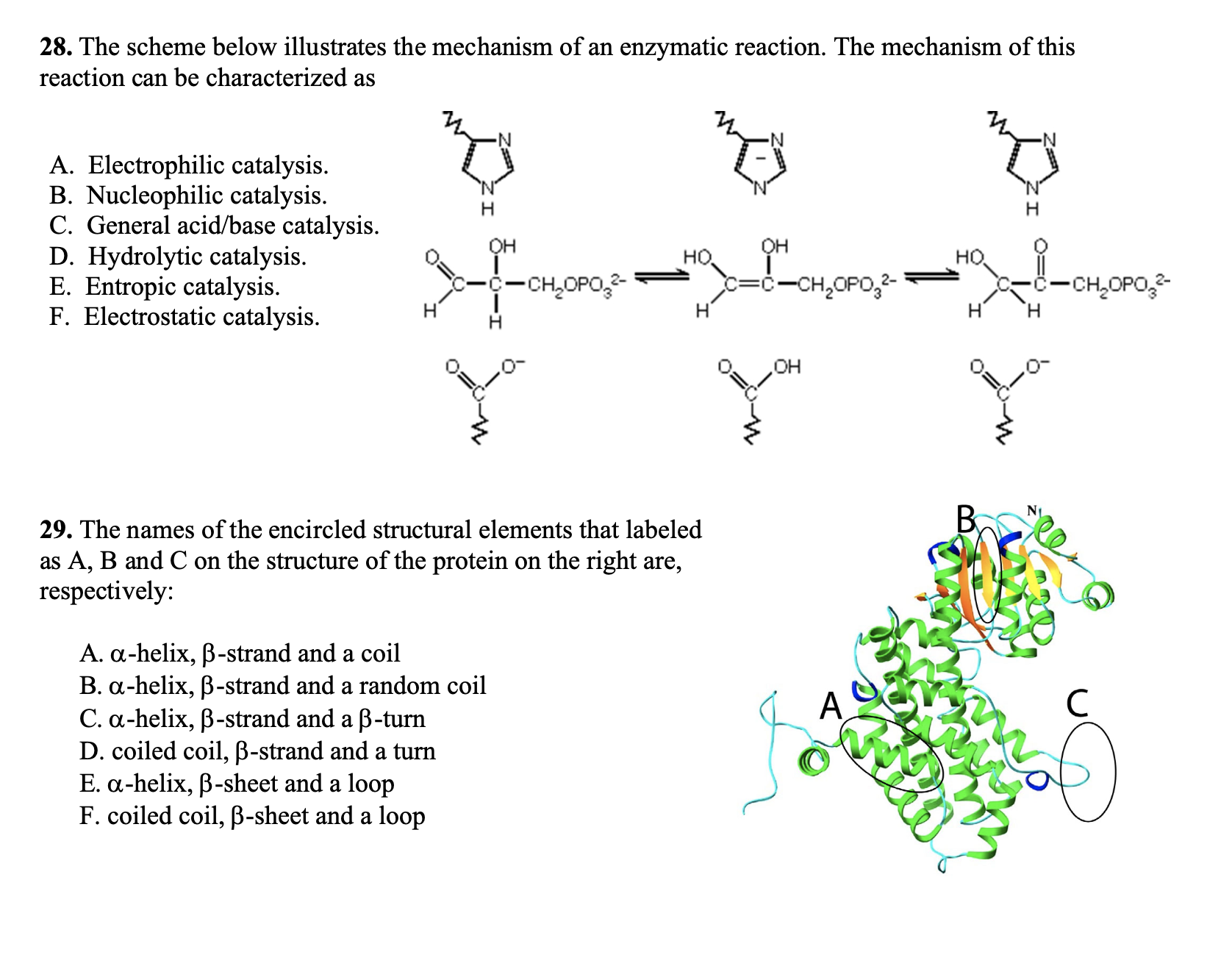 Solved 28. The scheme below illustrates the mechanism of an | Chegg.com