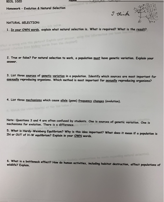 Solved BIOL 1020 Homework Evolution & Natural Selection 4 | Chegg.com