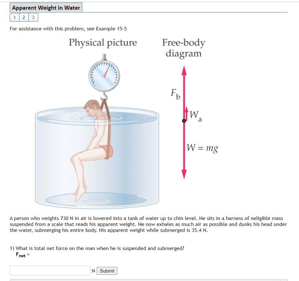 Apparent Weight in Water 123 For assistance with this | Chegg.com
