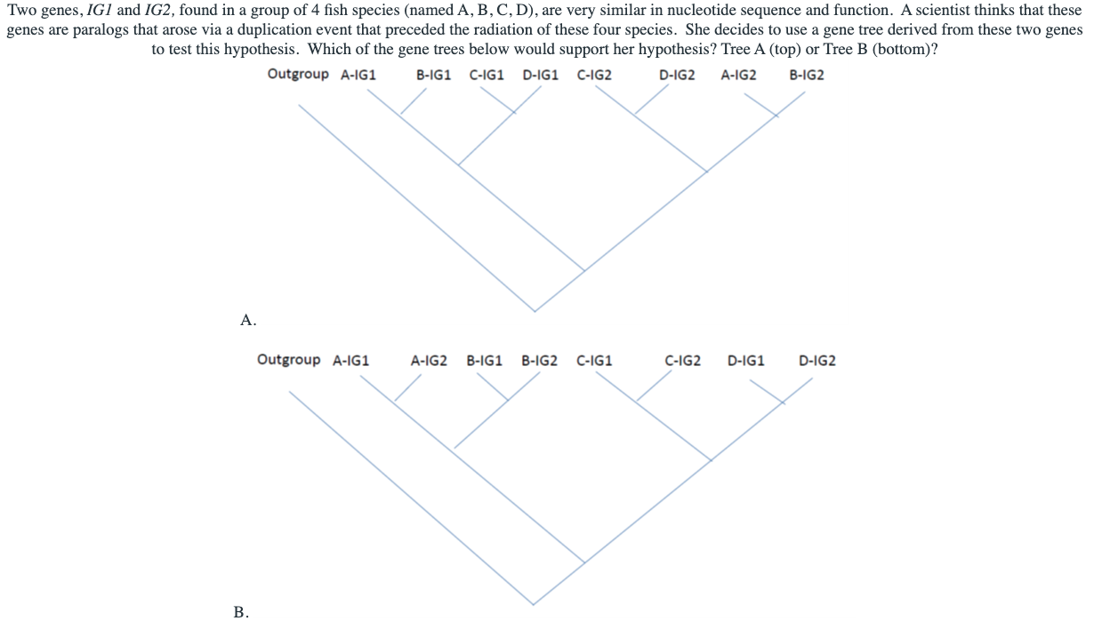 Solved Two genes, IG1 and IG2, found in a group of 4 fish | Chegg.com