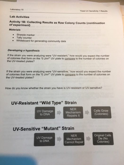 Solved Laboratory 15 Yeast UV Sensitivity 1 Results Lab | Chegg.com