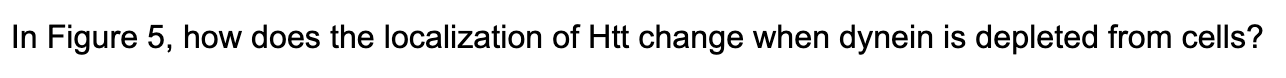 Solved 5In Figure 5, how does the localization of Htt change | Chegg.com
