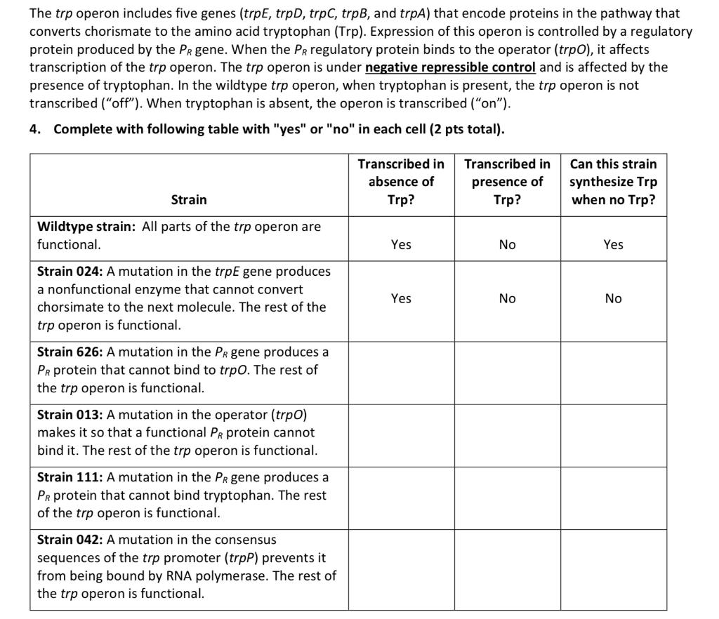 Solved The trp operon includes five genes | Chegg.com