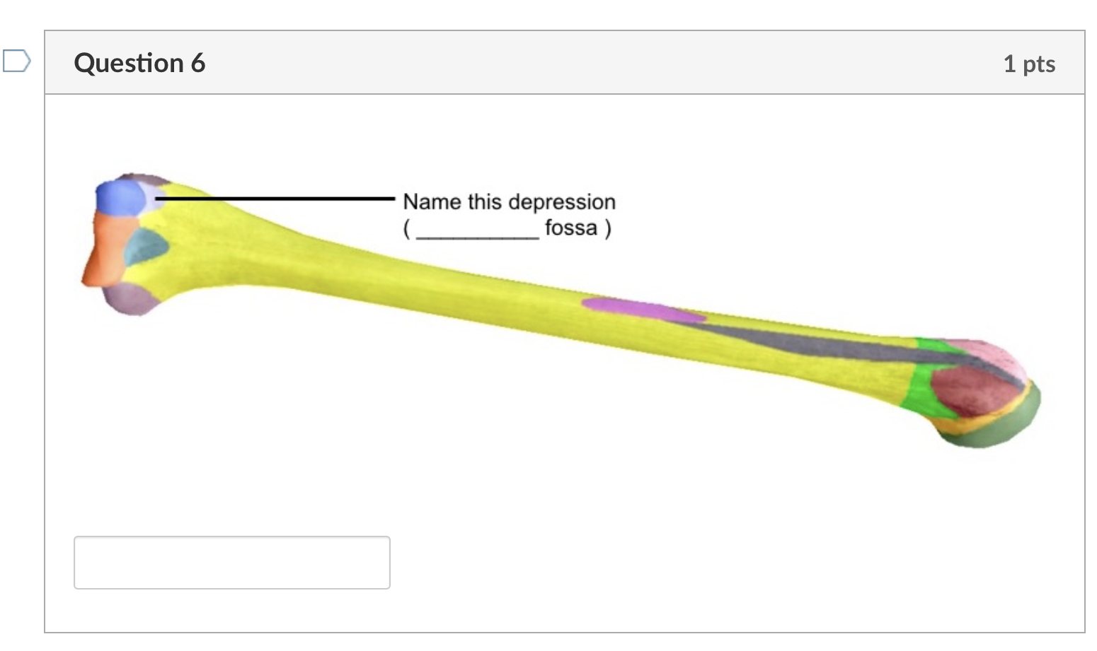 Solved Question 1 1 pts Name this ligament ligament) | Chegg.com