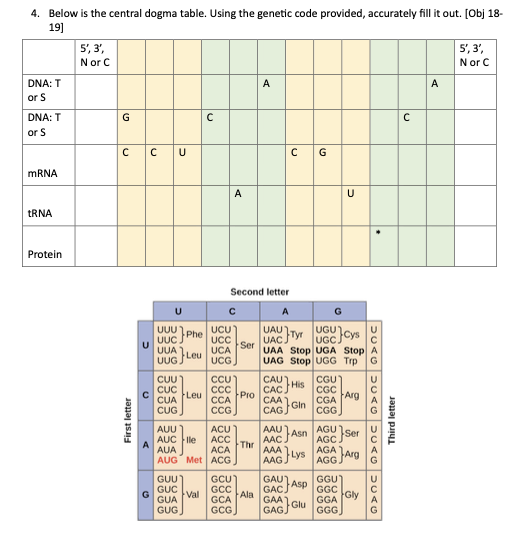 Solved 4. Below is the central dogma table. Using the | Chegg.com