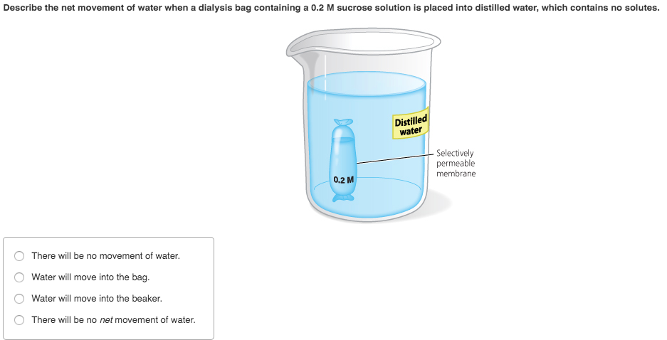 Solved Describe the net movement of water when a dialysis | Chegg.com