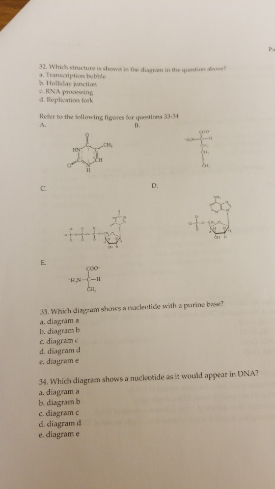 Solved Pa 32. Which structure is shown in the diagram in the | Chegg.com