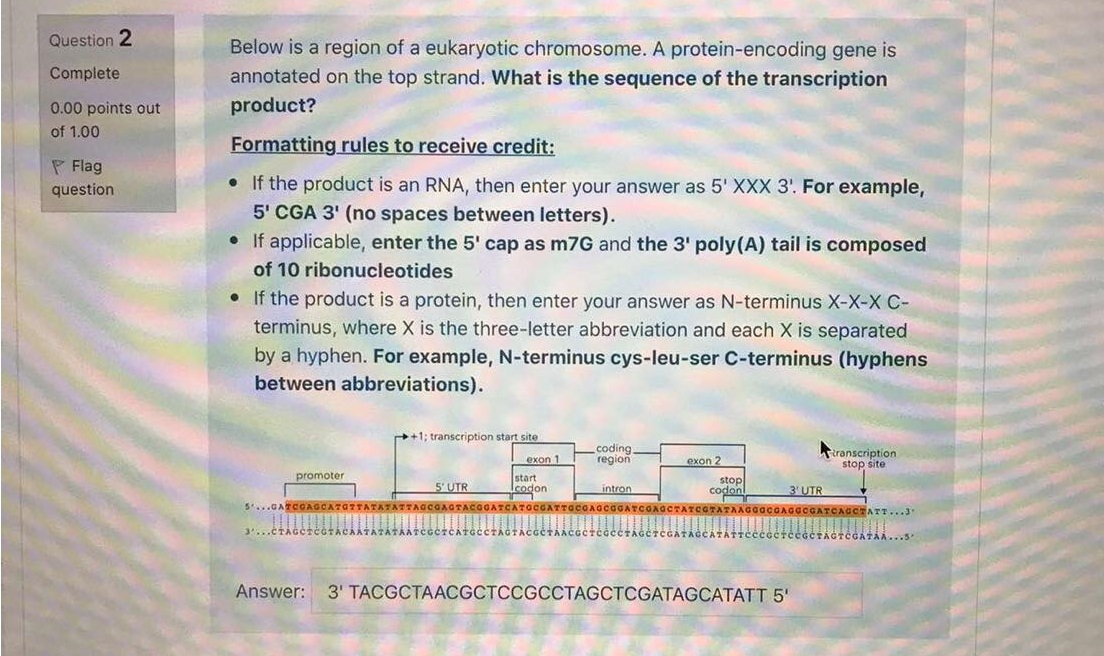 Solved Question 4 Complete Below is a region of a eukaryotic | Chegg.com