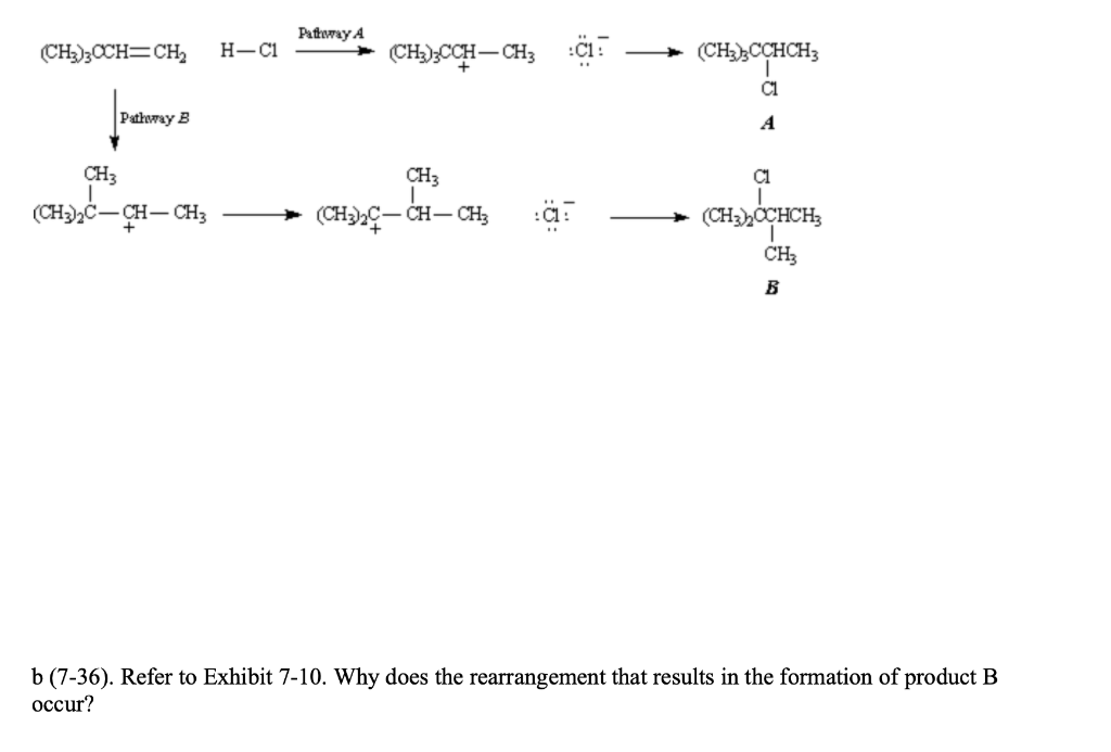 Solved Pathway A (CH3)3CCH=CH, H-ci av CH3)3CCH-CH C1: = | Chegg.com