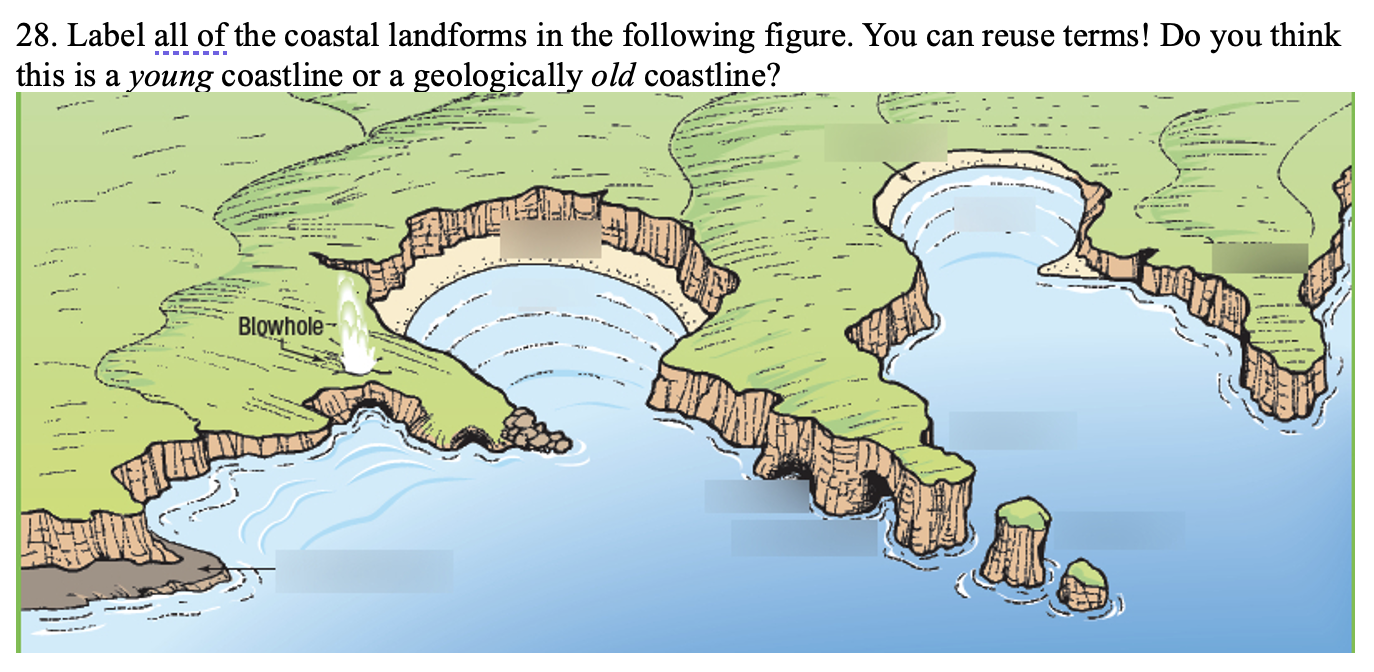 Solved 28. Label all of the coastal landforms in the | Chegg.com