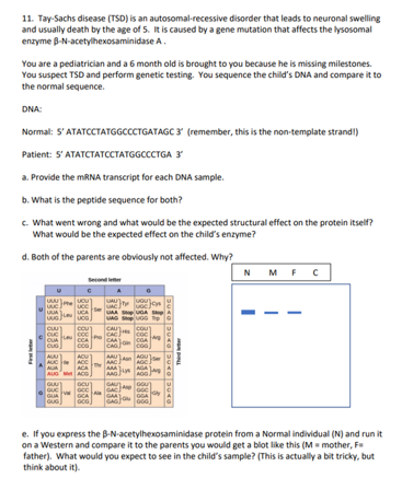 Solved 11. Tay-Sachs disease (TSD) is an autosomal-recessive | Chegg.com