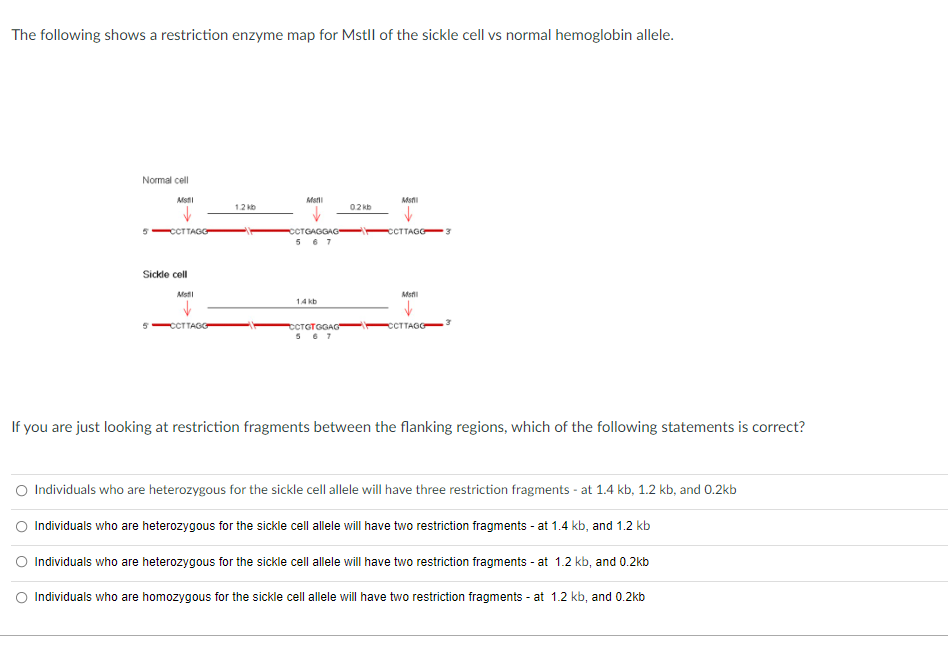 Solved The following shows a restriction enzyme map for | Chegg.com