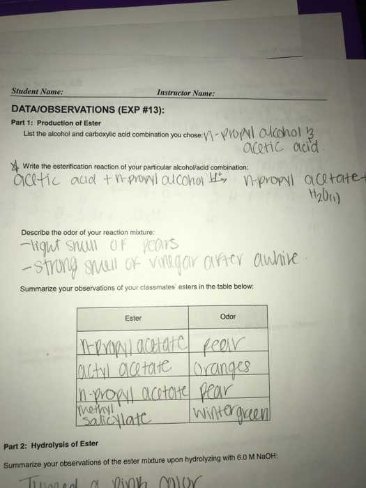 Solved Student Name: Instructor Name DATA/OBSERVATIONS (EXP | Chegg.com