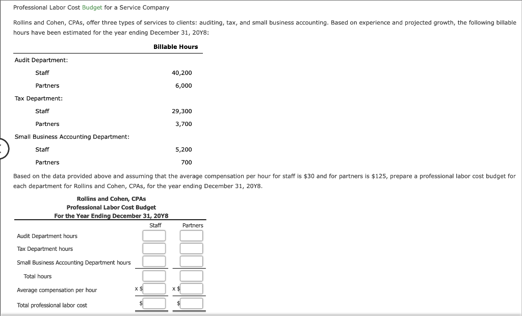 Solved Professional Labor Cost Budget for a Service Company | Chegg.com