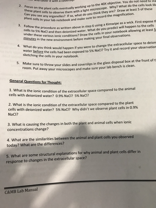 Plant Cell Lab Answers
