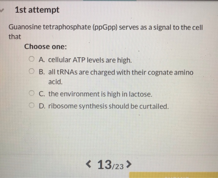 Solved 1st attempt Guanosine tetraphosphate (ppGpp) serves | Chegg.com