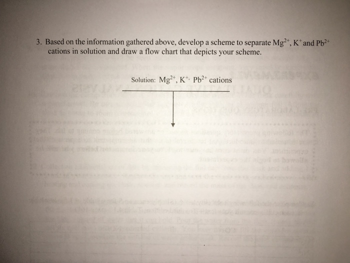 Solved Based on the information gathered above, develop a | Chegg.com