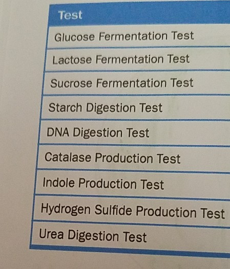 Solved Test Glucose Fermentation Test Lactose Fermentation | Chegg.com