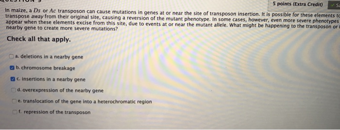 Solved In maize, a Ds or Ac transposon can cause mutations | Chegg.com