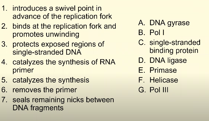 Solved 1. introduces a swivel point in advance of the | Chegg.com