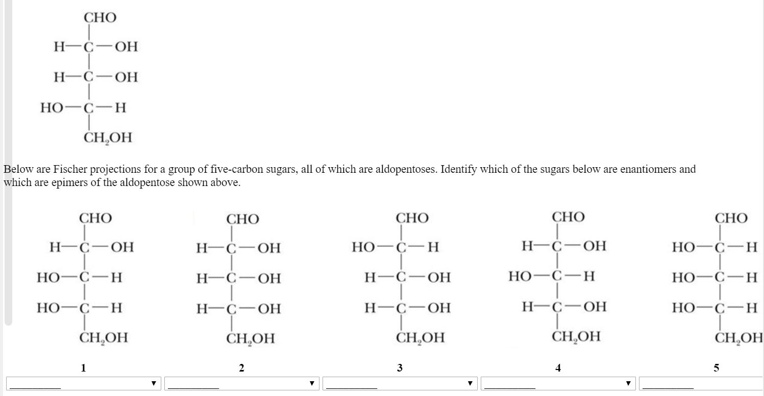 Solved CHO H-¢-OH H-C-OH HO-C-H CH,OH Below are Fischer | Chegg.com