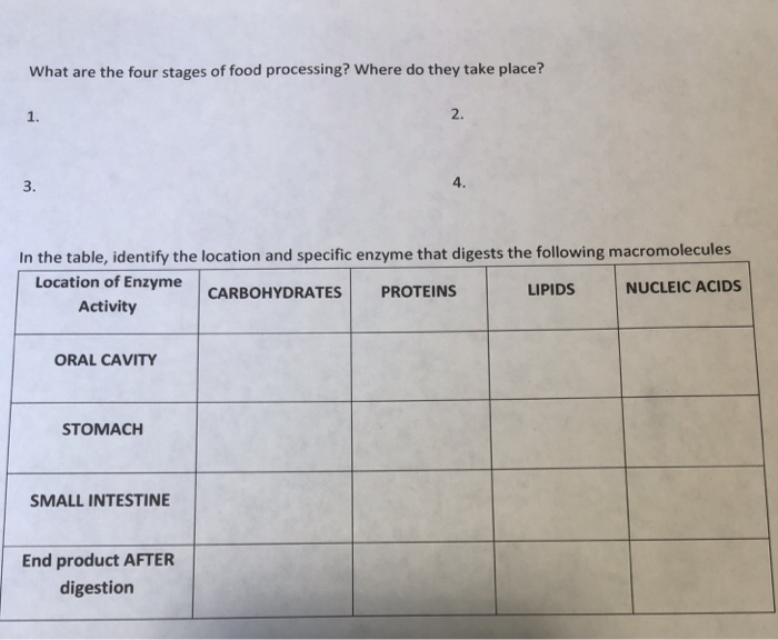 Solved What are the four stages of food processing? Where do | Chegg.com