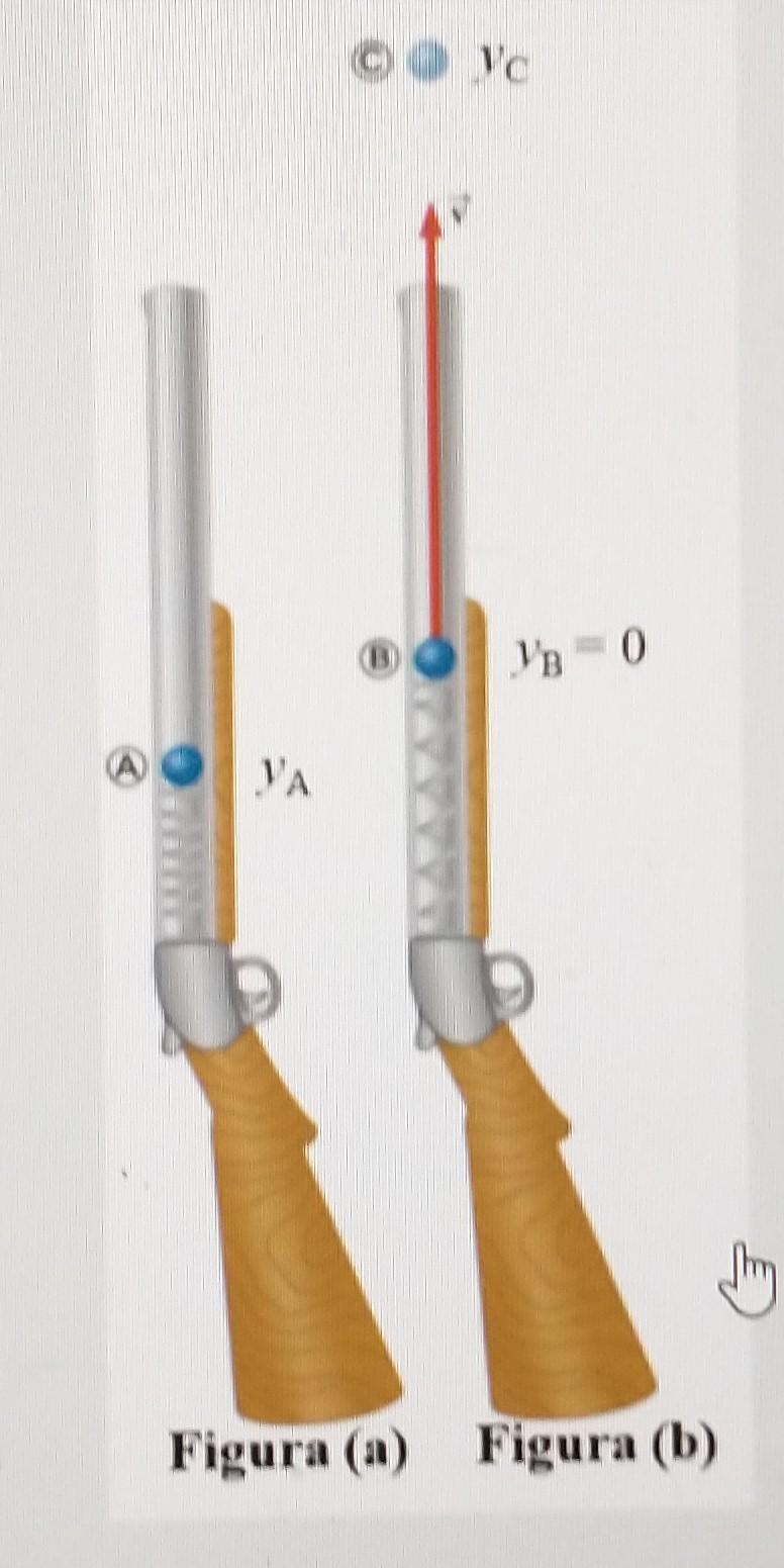 Solved The launch mechanism of a toy rifle consists of a | Chegg.com