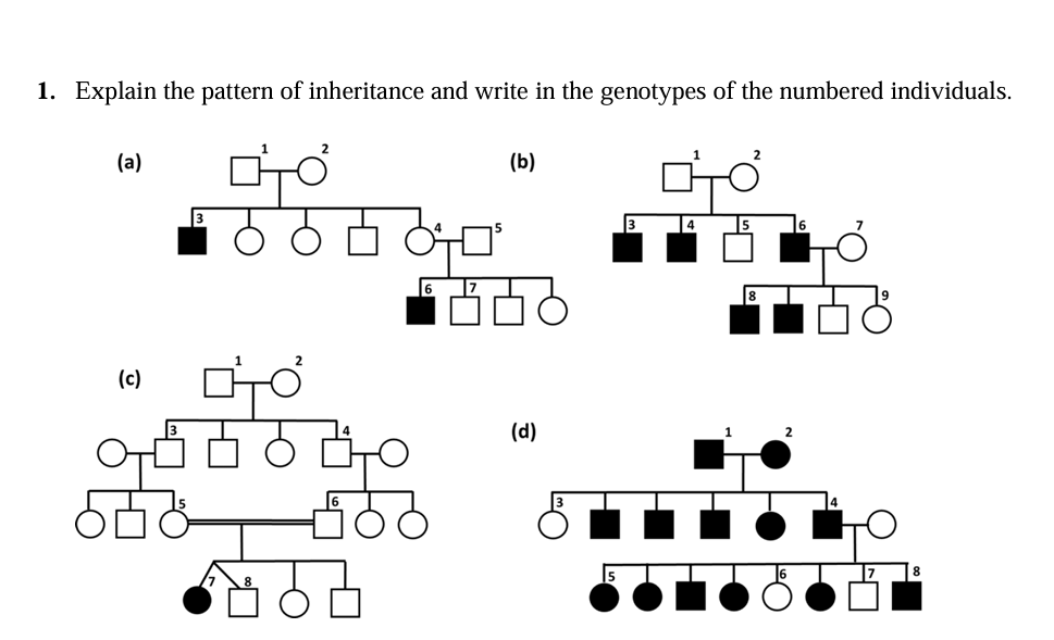 Solved 1. ﻿Explain the pattern of inheritance and write in | Chegg.com