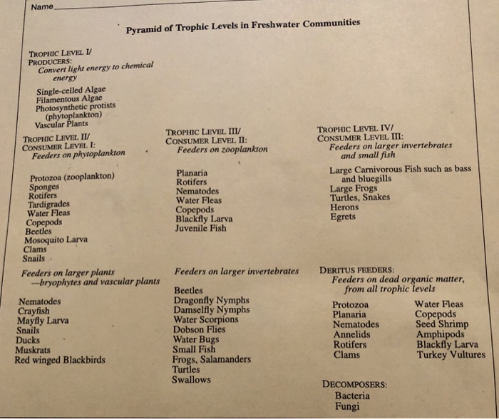 Solved Additional Exercise 1. Compete the Trophic Levels | Chegg.com
