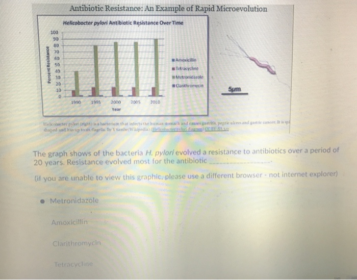 Solved Antibiotic Resistance: An Example of Rapid | Chegg.com