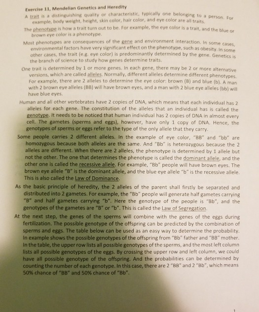 Exercise 11, Mendelian Genetics and Heredity one | Chegg.com