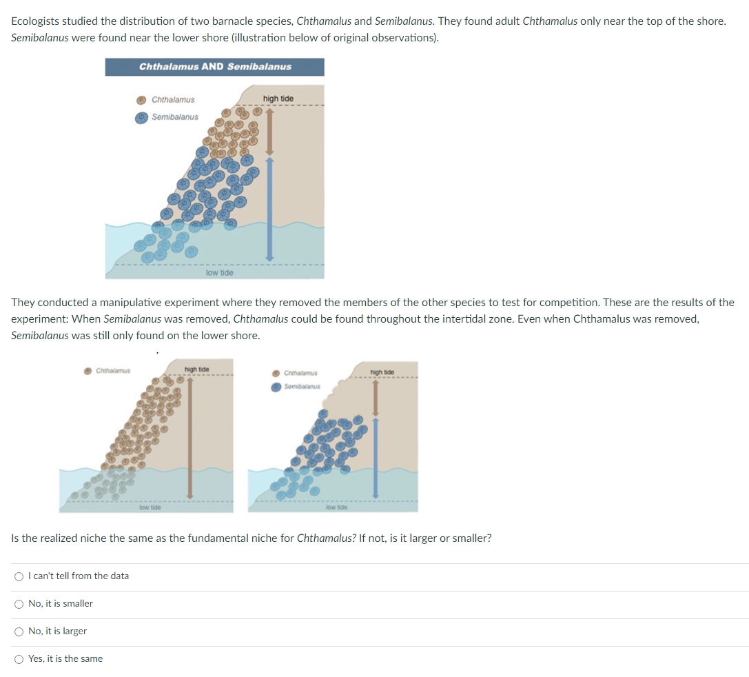 Solved Ecologists studied the distribution of two barnacle | Chegg.com