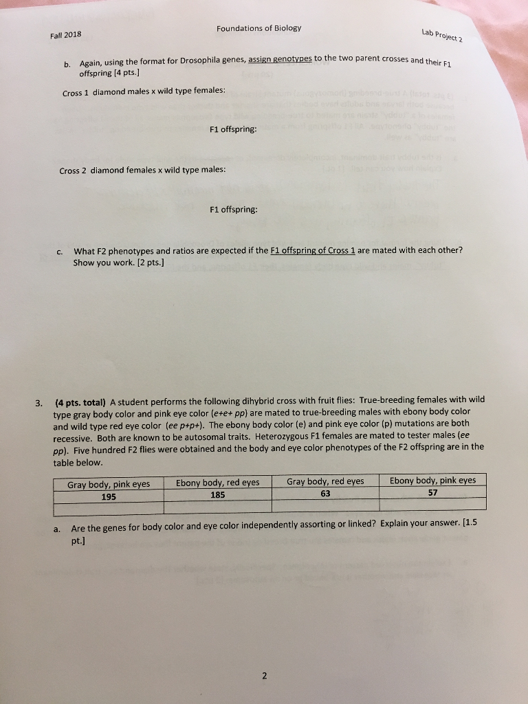 Fall 2018 Lab Project 2 Worksheet 2 Genetics Chegg