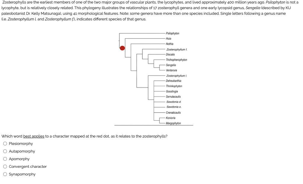 Solved Zosterophylls are the earliest members of one of the | Chegg.com