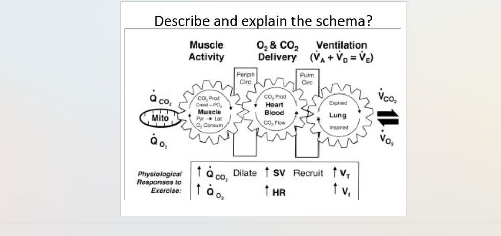 Solved Describe and explain the schema? | Chegg.com