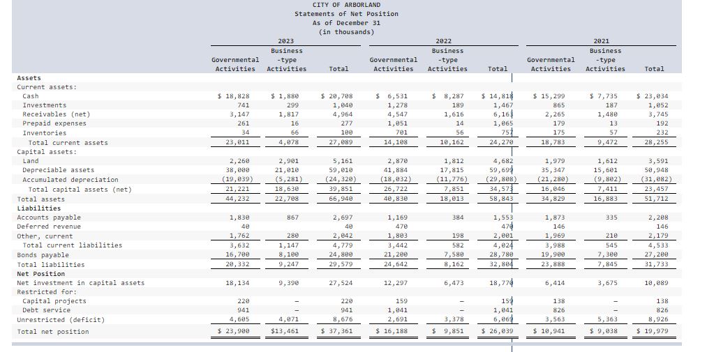 The government-wide financial statements for the City | Chegg.com