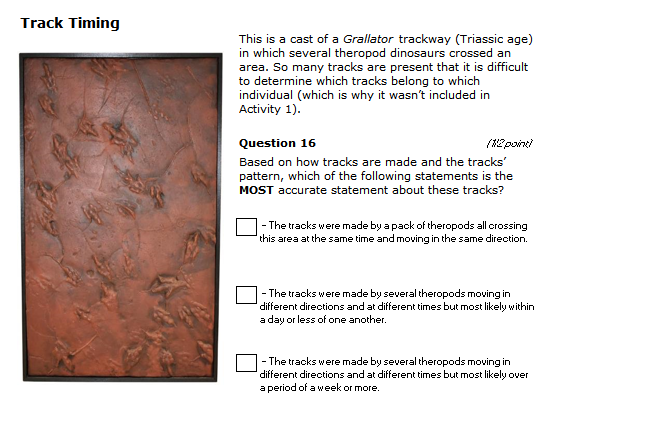 Solved Track Timing This is a cast of a Grallator trackway | Chegg.com