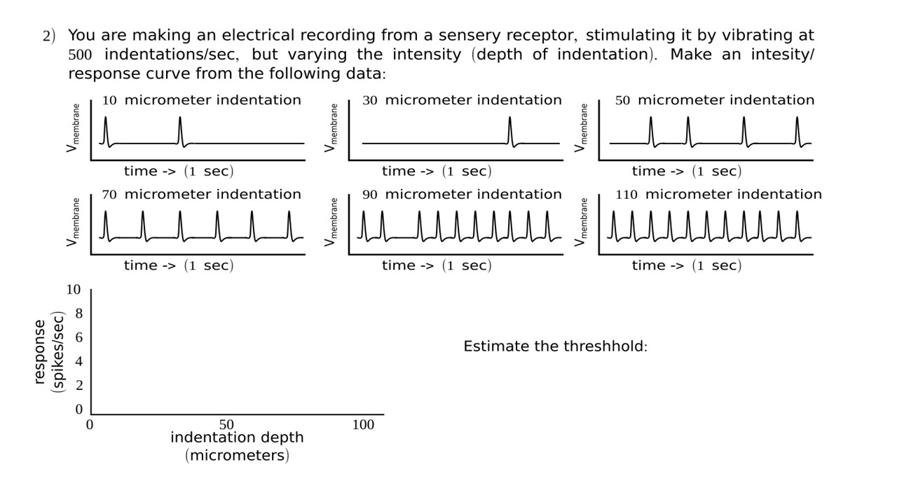 2) You are making an electrical recording from a | Chegg.com