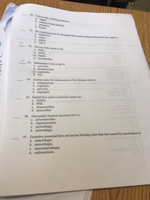 Solved 40 Vulv o Is The Combining Form For A Vagina D Chegg