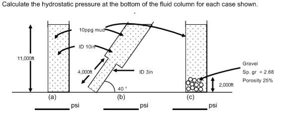 Solved Calculate the hydrostatic pressure at the bottom of | Chegg.com