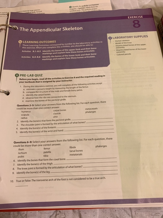 Solved EXERCISE 8 The Appendicular Skeleton LABORATORY | Chegg.com