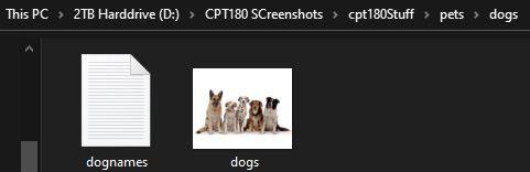 Solved Directions Using the following guidelines, create a | Chegg.com