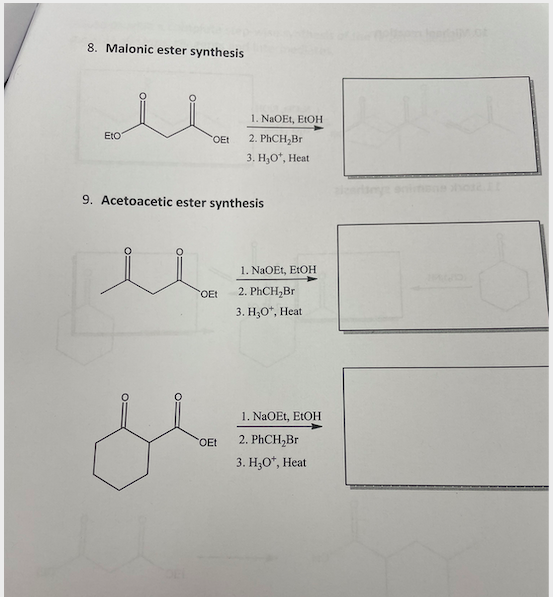 Solved 8. Malonic ester synthesis Eto OET 1. NaOEt, EtOH 2. | Chegg.com